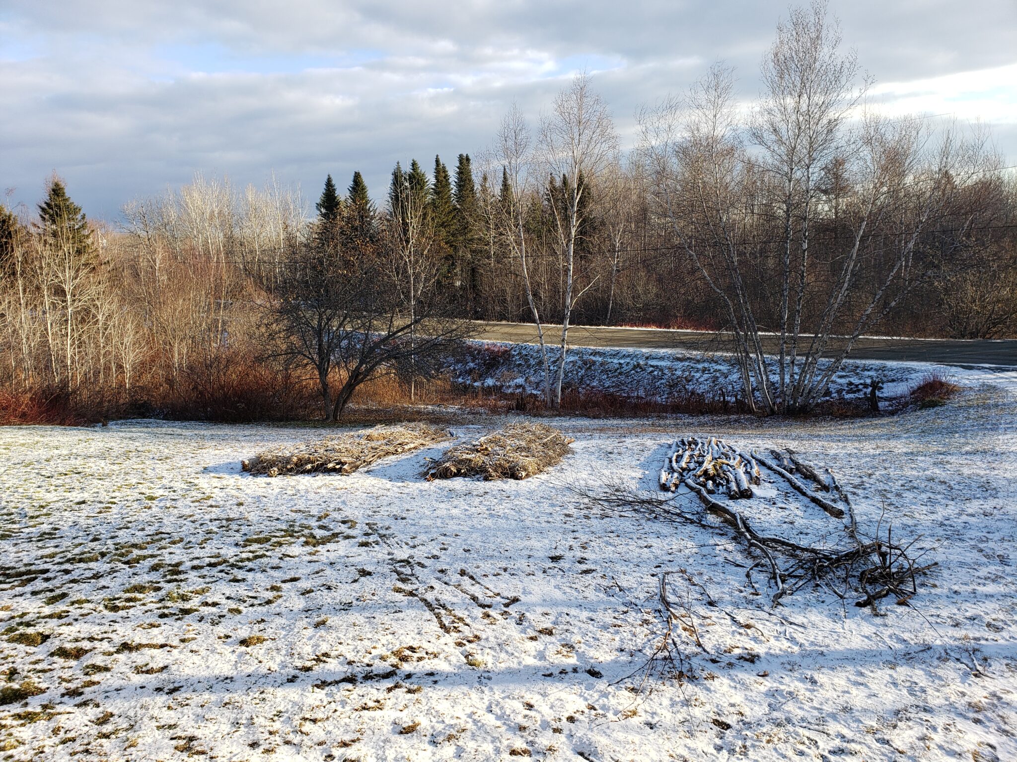 Hugelkultur Raised Garden Beds | How to Start